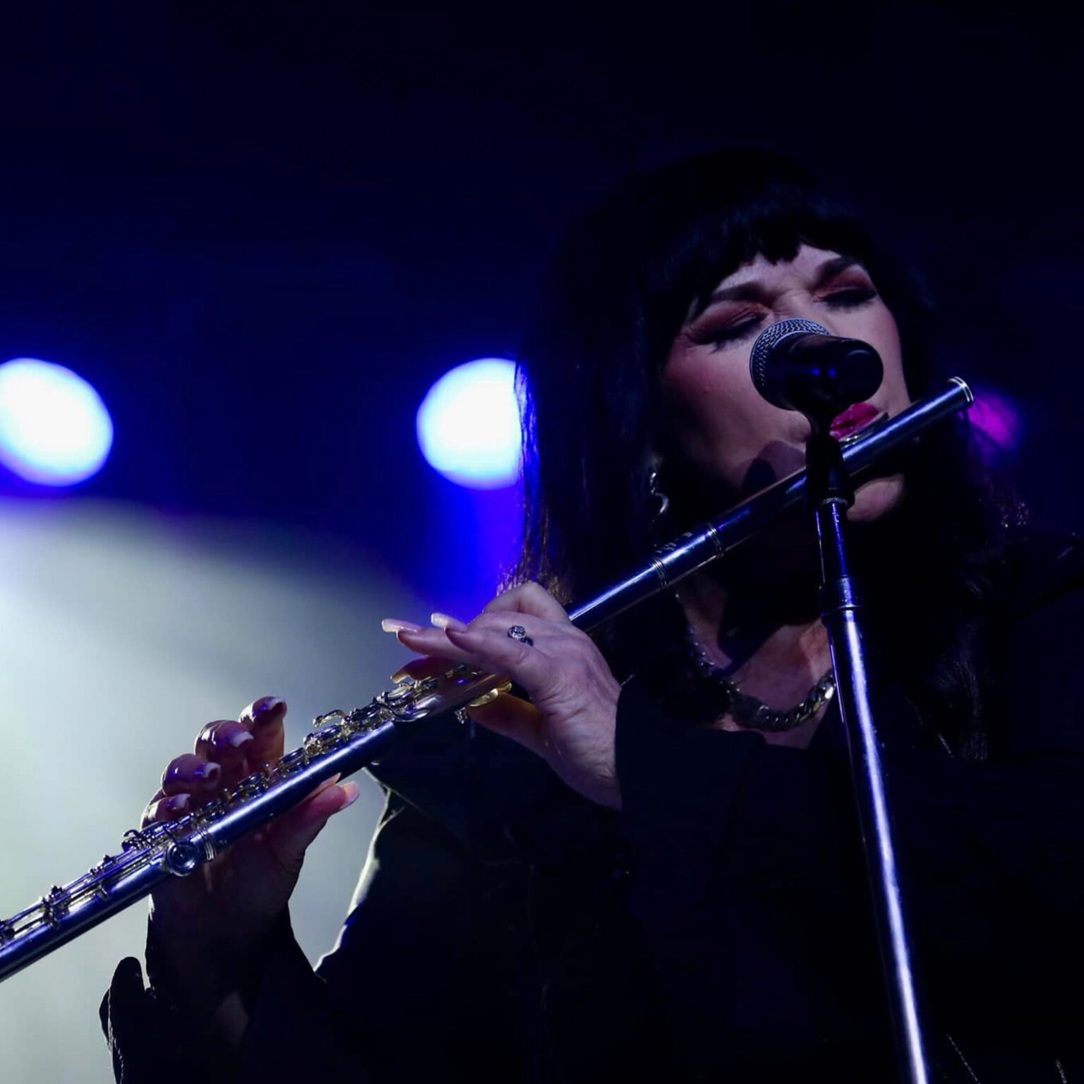 Ann Wilson of Heart & Tripsitter - Norton Center