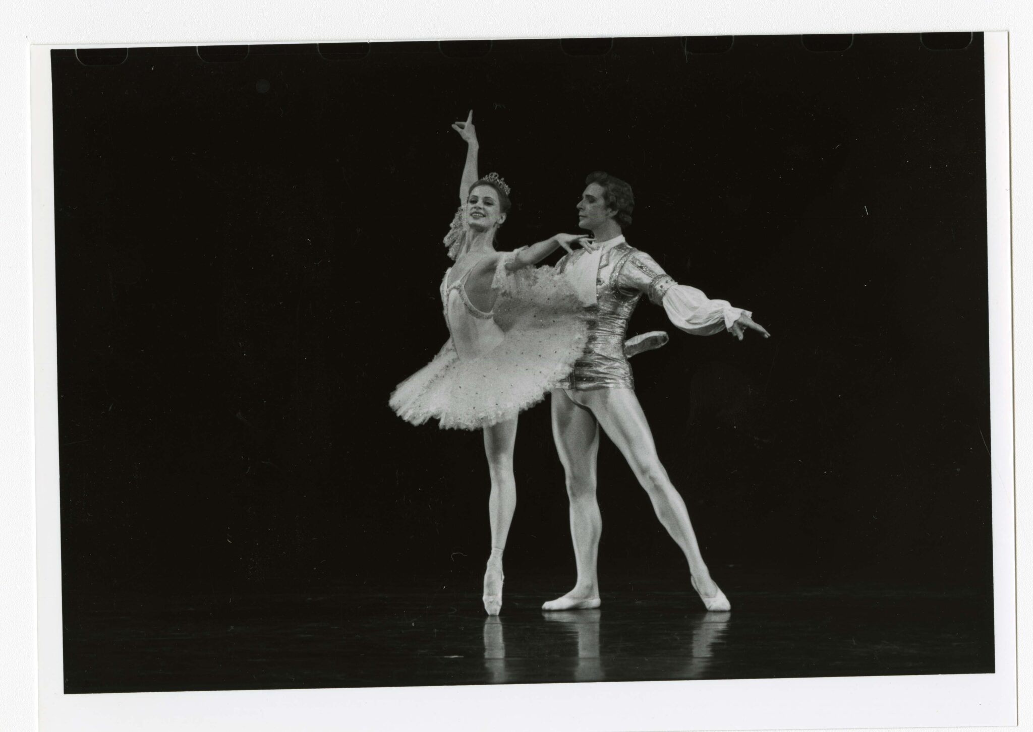 Cultural Currents: A Half-Century of Artistic Excellence - Norton Center